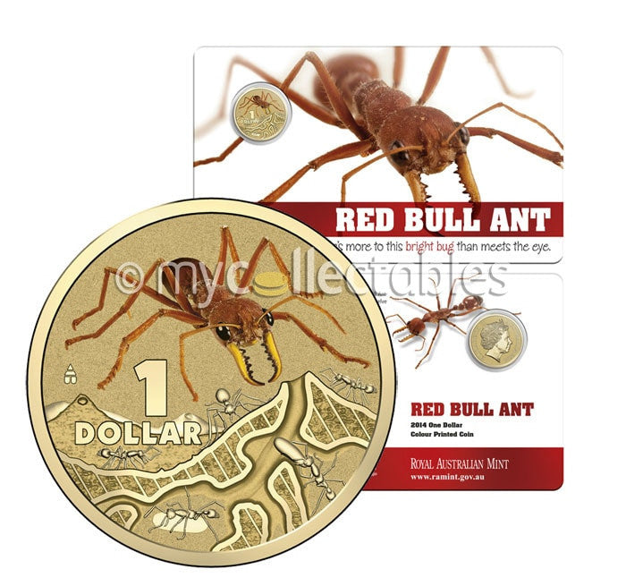 2014 $1 AlBr Colour Printed Coin - Bright Bugs: Red Bull Ant – My ...