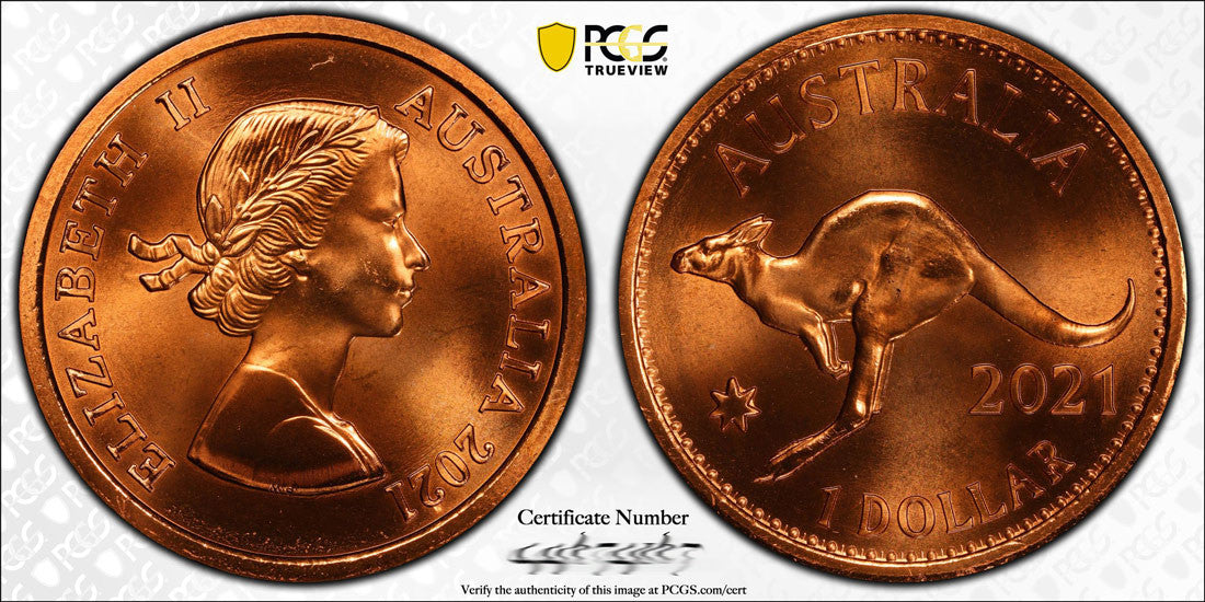 2021 110th Anniversary of Penny "George Kruger Gray" PCGS MS68 RD – My ...